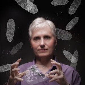 Defying All Odds - Rotten Tomatoes