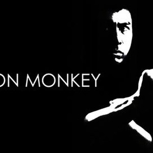 Iron Monkey - Rotten Tomatoes
