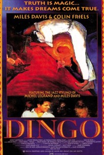 Dingo (1992) - Rotten Tomatoes