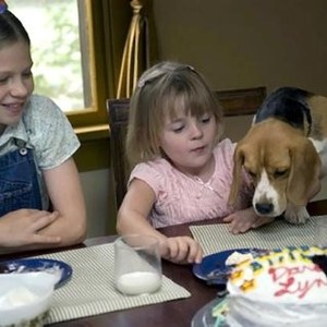 Kyle Chavarria - Rotten Tomatoes