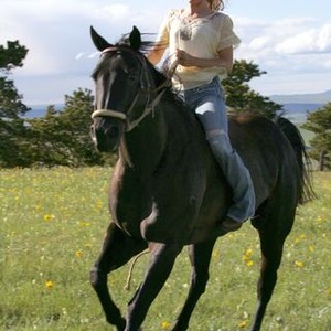 Flicka - Rotten Tomatoes