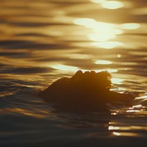 A Strange Path - Rotten Tomatoes