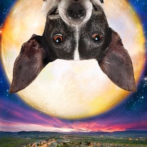 Vampire Dog - Rotten Tomatoes