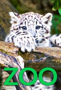The Zoo | Rotten Tomatoes