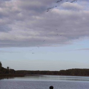 Ten Canoes - Rotten Tomatoes