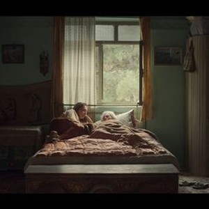 Cici - Rotten Tomatoes