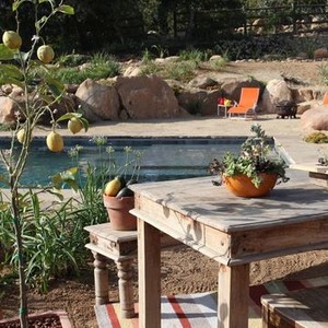 The Pool Master - Rotten Tomatoes