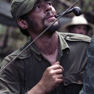 Che: Part Two - Rotten Tomatoes