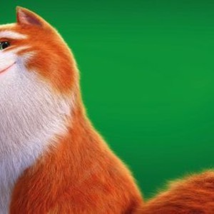 The Amazing Maurice - Rotten Tomatoes