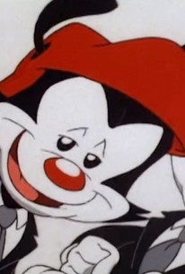 Animaniacs: Season 5, Episode 2 | Rotten Tomatoes