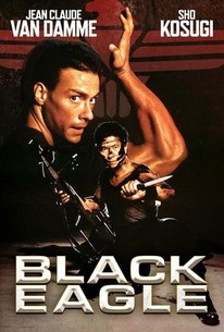 Black Eagle | Rotten Tomatoes