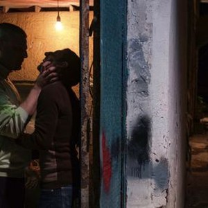 Dogman - Rotten Tomatoes