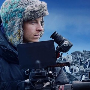 Epic Adventures With Bertie Gregory - Rotten Tomatoes