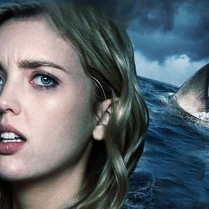 Shark Season - Rotten Tomatoes