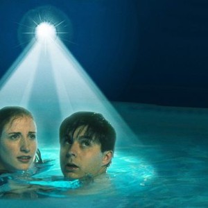 Blue Shark Hash - Rotten Tomatoes