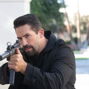 Section 8 - Rotten Tomatoes