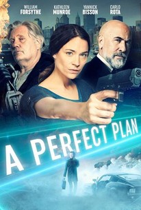 A Perfect Plan (2020) | Rotten Tomatoes