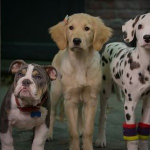 Phantom Pups - Rotten Tomatoes