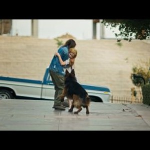 Harper - Rotten Tomatoes