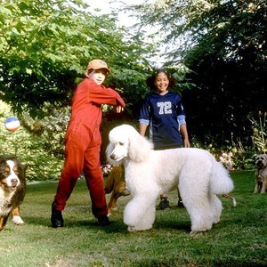 Good Boy! - Rotten Tomatoes