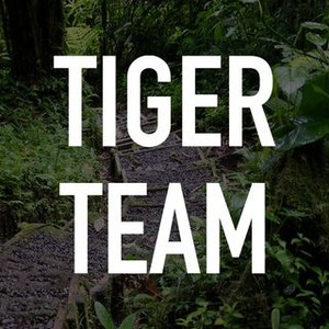 Tiger Team - Rotten Tomatoes