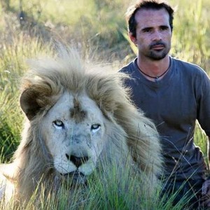 The Lion Ranger: Season 1, Episode 1 - Rotten Tomatoes