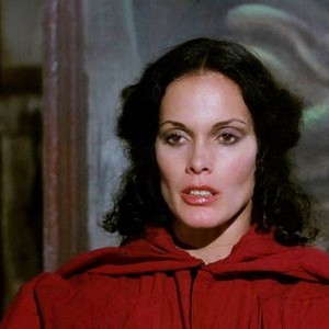 Devil Dog: The Hound of Hell - Rotten Tomatoes