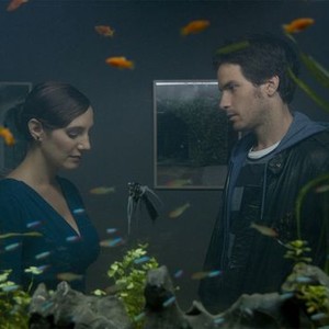 The Life of Fish - Rotten Tomatoes