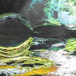 Speed of Life - Rotten Tomatoes