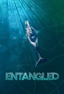 Entangled (2020) | Rotten Tomatoes