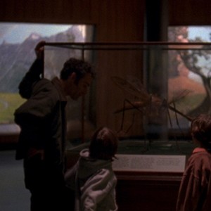 Go Get Some Rosemary - Rotten Tomatoes