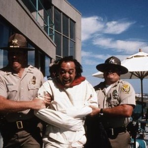 Don Calfa - Rotten Tomatoes