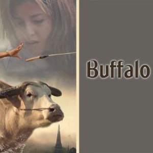 Buffalo Rider - Rotten Tomatoes