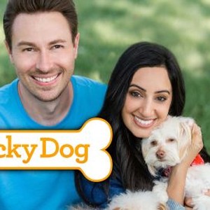 Lucky Dog - Rotten Tomatoes