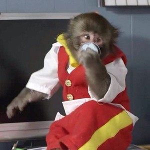 Monkey in the Middle - Rotten Tomatoes