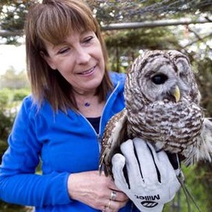 Hope in the Wild - Rotten Tomatoes