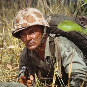 Beach Red - Rotten Tomatoes