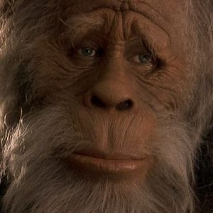 Harry and the Hendersons - Rotten Tomatoes
