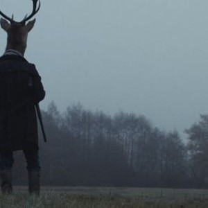 Anonymous Animals - Rotten Tomatoes