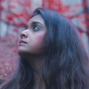 Penguin - Rotten Tomatoes