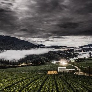 Soul - Rotten Tomatoes