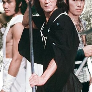 Five Element Ninjas - Rotten Tomatoes