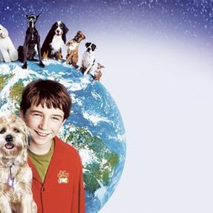 Good Boy! (2003) - Rotten Tomatoes