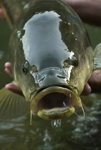 Jeremy Wade's Mighty Rivers: Season 1, Episode 1 | Rotten Tomatoes