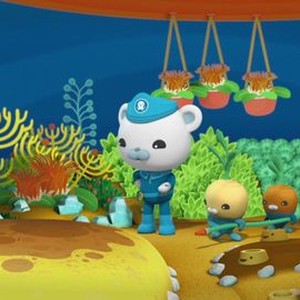 Octonauts: Season 3, Episode 7 - Rotten Tomatoes