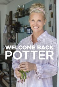 Welcome Back Potter | Rotten Tomatoes