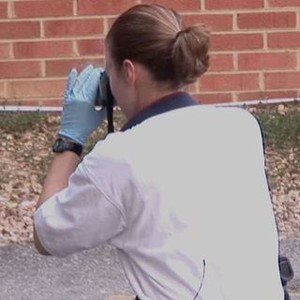 Crime 360: Season 1, Episode 1 - Rotten Tomatoes