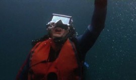 Jaws 2 - Rotten Tomatoes