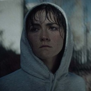 The Novice - Rotten Tomatoes