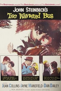 The Wayward Bus | Rotten Tomatoes